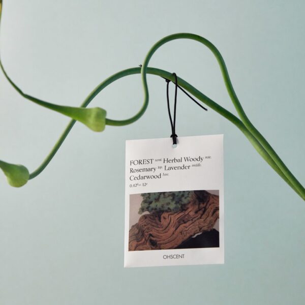 Купите свечи и ароматы для дома в магазине Candlesbox!